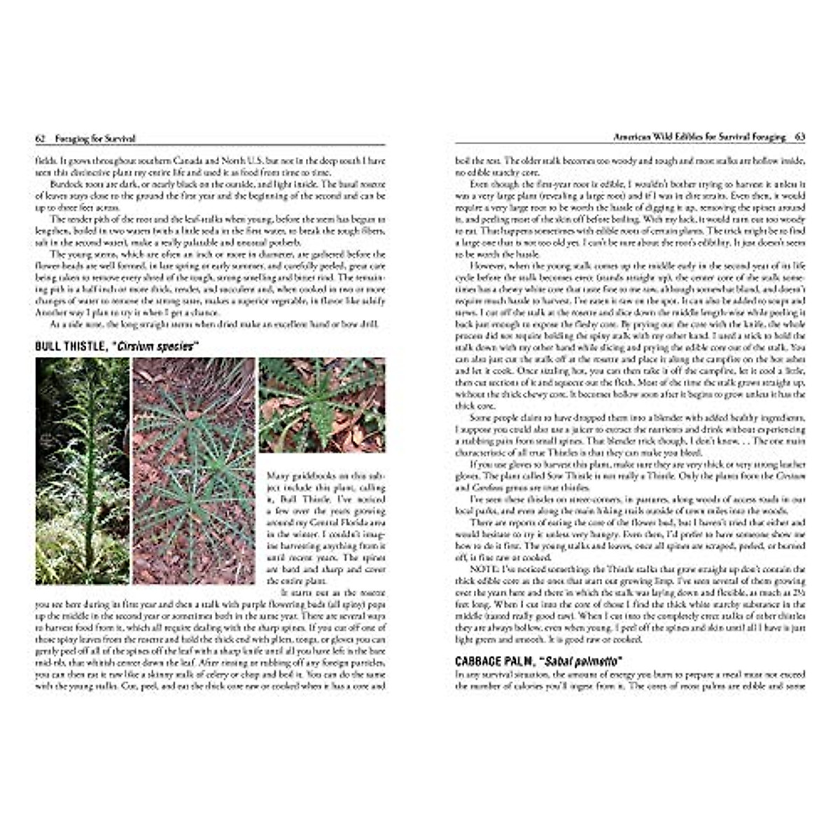 Foraging for Survival: Edible Wild Plants of North America