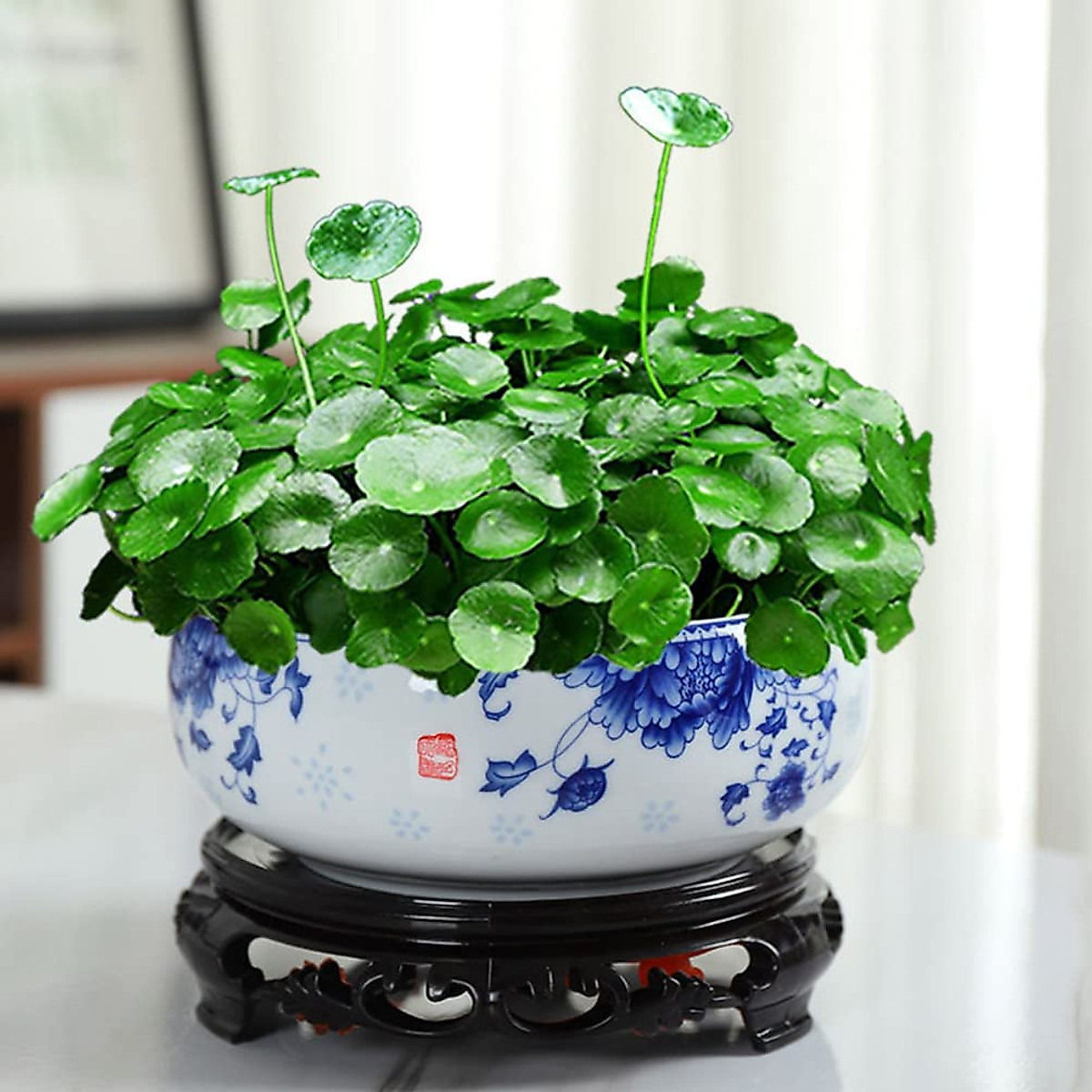 Happyyami House Plants Indoors Live Blue and White Floral Planter Flower Pot with Stand Orchid Pots Bonsai Holder Flower Bowl Garden Decorations for Garden Landscape Office House Plants