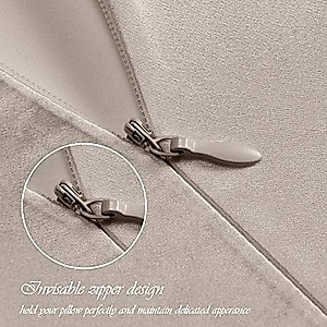 Asmork 100% Mulberry Silk Pillowcase for Hair and Skin, Both Side 19 Momme Real Silk, Hidden Zipper Washable Pure Silk Bed Pillowcase Covers, Envelope Gift Box,1PC (Beige, Standard 20''×26'')