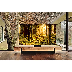 SAMSUNG 85-Inch Class Neo QLED 8K QN900B Series Mini LED Quantum HDR 64x, Infinity Screen, Dolby Atmos, Object Tracking Sound Pro, Smart TV with Alexa Built-In (QN85QN900BFXZA, 2022 Model)