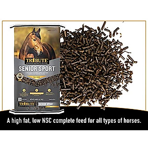 Senior Sport Textured Feed for Horses