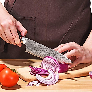 Damascus Chef Knife Japanese Chefs Knife 8 Inch VG10 Kitchen Knife 67-Layer High Carbon Stainless Steel Knife Ergonomic Superb Edge Retention Gyuto Chefs Knives with Gift Box