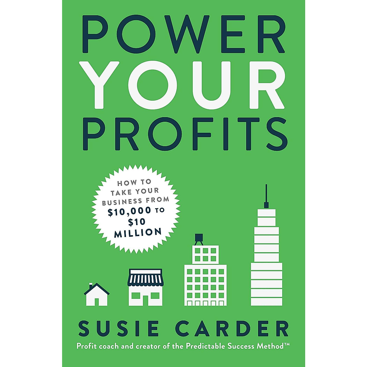 Power Your Profits: How to Take Your Business from $10,000 to $10,000,000
