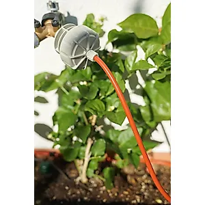 Blumat Irrigation System for 8 Plants w/Pressure Reducer | Automatic Drip Irrigation Kit | No Electricity, No Batteries Required | Garden, Patio, Hanging Baskets, Raised Bed, Greenhouse