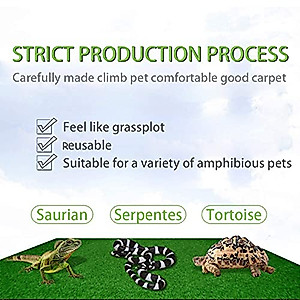 Tfwadmx Reptile Carpet, 2 Pack of Bearded Dragon Mat Terrarium Substrate Liner Bedding for Snake Turtle Lizard Geckos Hermit Crabs (24'' X 16'')