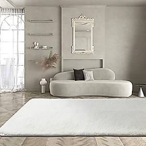 Asvin 5x7 Area Rug, Fluffy Living Room Area Rug, Luxury Large Area Rug, Non-Skid Fleece Carpets for Bedroom Home Décor, Soft Plush Furry Rug for Kids Room, Washable Floor Rug (5x7 Feet, White)