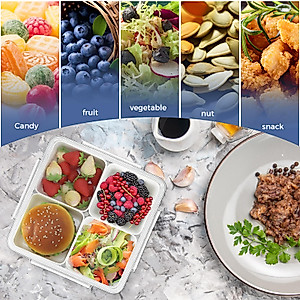 ISUSSER Square Plastic Divided Serving Tray with Lid, Snack Container, Divided Fruit Vegetable Snack Tray Container with 4 Compartments for Refrigerator