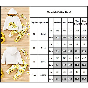 Baby Girl Clothes Newborn Infant Outfits Long Sleeve Floral Sweatshirt Hoodies Top Pants Headband Toddler Clothing Set 0-3 Months