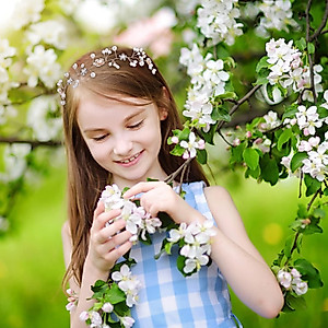 Floral Headpiece Bridal Hair Vine and Flower Crown - Elegant Wedding Hair Accessory for Flower Girls