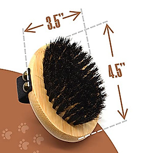 The Buddy System Pet Close Brush, Soft Touch Oval Palm Brush - Bamboo Massage Handheld with Soft Boar Bristles and Elastic Band for Dogs and Cats