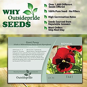 Outsidepride Pansy Alpenglow Indoor House Plant Or Outdoor Garden Flower for Beds, Borders Pots, & Containers - 1000 Seeds