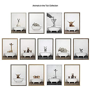 Kate and Laurel Blake Highland Cow in Tub Framed Printed Glass Art by Amy Peterson, 18x24 Dark Gold, Beautiful Modern Glass Wall Art for Home