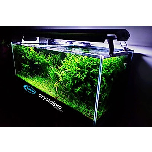 Crystalpro Flora Carbon 4.22 Oz - Concentrated Bioavailable Carbon Source for Freshwater and Planted Aquariums (125 ml)