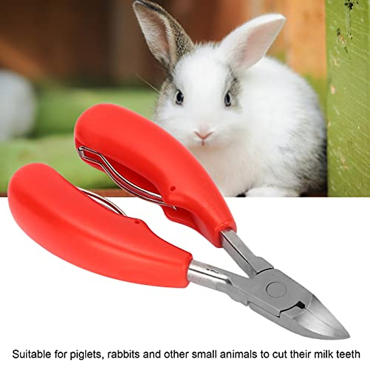 HEEPDD Multifunctional Piglets Teeth Clipper Stainless Steel Piglet Teeth Cutter Pig Tooth Nipper