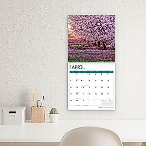 2024 Seasons Monthly Wall Calendar by Bright Day, 12 x 12 Inch Spring Summer Autumn Winter