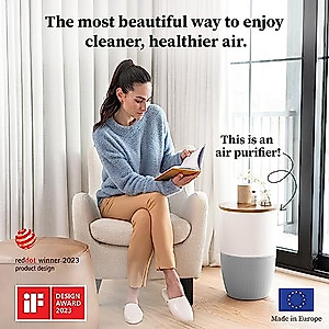 Dupray Bloom™ Air Purifier for Large Rooms with Planter or Custom Accent Table Design | For Home, Bedroom, Office, Dust, Pets | H13 HEPA Air Filtration (Accent Table - Walnut, Cloudy Gray)