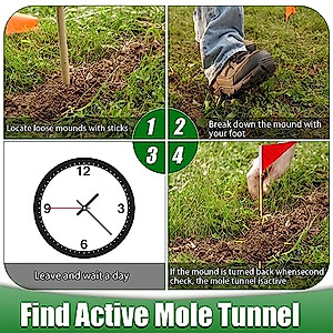 2 Pack Mole Traps That Kill Best, Scissor Mole Traps for Lawns Vole Traps Outdoor Use, Mole Trap Easy to Set Galvanized Steel Reusable Quick Capture Gopher