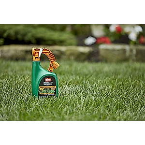 Ortho WeedClear Lawn Weed Killer Ready to Spray: For Northern Lawns, 32 oz.