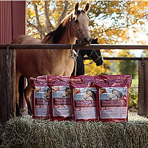 Vitamin E & Organic Selenium 10 lb, 5,000 IUs of Vitamin E and 3 mg of Organic Selenium per Dose