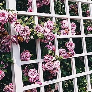 56.7" W x 97" H Vinyl Trellis Support for Outdoor Climbing Plants and Rose Vines, Durable Décor Lattice for Garden&Backyard, Lawn