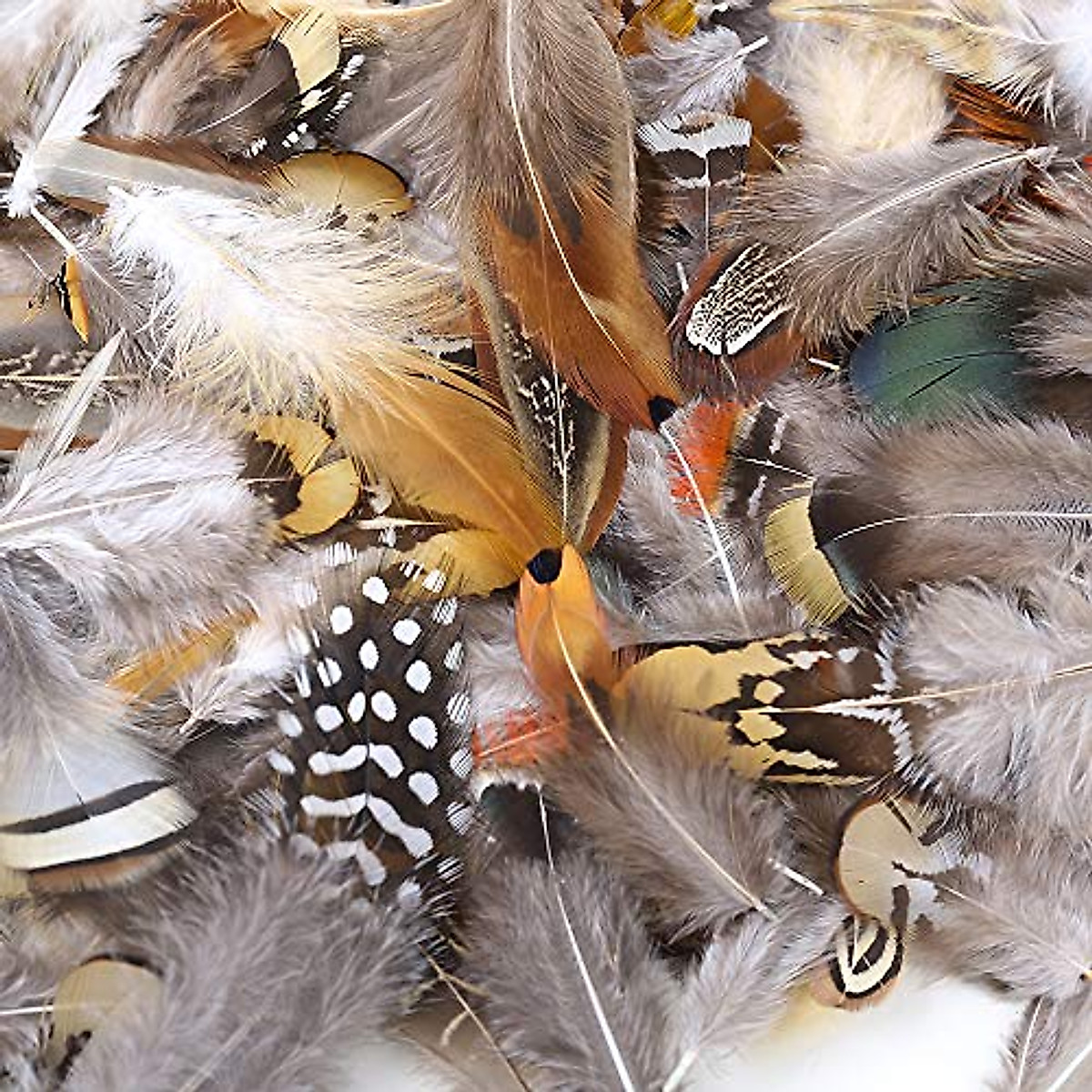 180pcs 9 Styled Natural Feathers Assorted Mixed Feathers for Jewelry and Dream Catcher Crafts