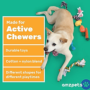 AMZpets 10 Dog Toys for Small Dogs and Puppies, Squeaky Dog Toys Rope Toys for Plush Games, with Chewing Ropes/Balls/Rubber Bone/Carry Bag, Variety Playing Toys Set for Toss and Tug Play