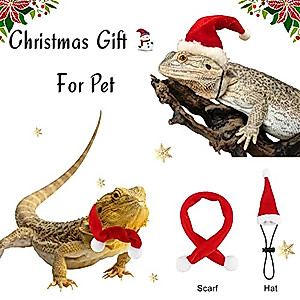 Filhome Christmas Bearded Dragon Harness and Leash with Wings Hat Scarf, 8 Pcs Lizard Harness Iguana Reptile Leash Set Adjustable Elastic Chin Strap Xmas Clothing (Green)