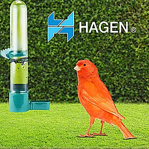 Living World Combo Waterer and Feeder, Small (Colors May Vary)