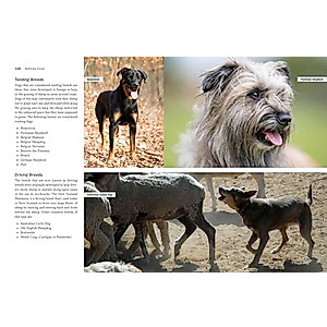 Storey's Guide to Raising Sheep, 5th Edition: Breeding, Care, Facilities