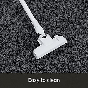 COZYLOOM Large Shag Area Rug, 9 x 12 Luxury Soft Shaggy Rug, Plush Fluffy Indoor Floor Carpet Cozy Solid Modern Rug Anti-Skid Bedroom Floor Cover Living Room Nursery Throw Carpet Dark Grey