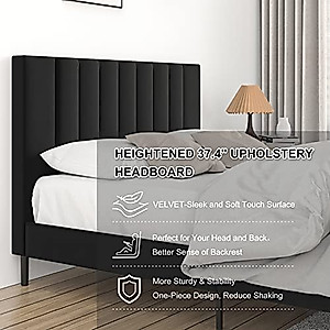 Flolinda Queen Size Bed Frame and Headboard, Velvet Upholstered Tufted Bed Frame Queen, Heavy Duty Metal Mattress Foundation with Sprung Slats, Queen Bed Frame No Box Spring Needed, Easy Assembly