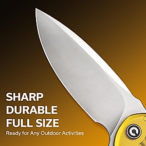 CIVIVI Praxis Pocket Folding Knife - Modern Aesthetics Ultem Handle, 3.75" Sharp Blade, Deep Carry Clip for EDC C803L