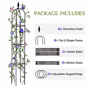 Lalahoni Trellis for Climbing Plants Outdoor, Rustproof Plant Support Potted Flowers Vegetable Vine Indoor Outdoor Garden Obelisk, 6ft Tall Rose Black 1pc