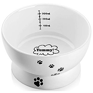 Y YHY Cat Bowl, 15 Ounce Cat Water Bowl, Raised Ceramic Cat Food Bowl, Elevated Cat Dog Dish No Spill, Pet Bowls for Cats or Small Dogs, Anti Vomiting, Measurable, White