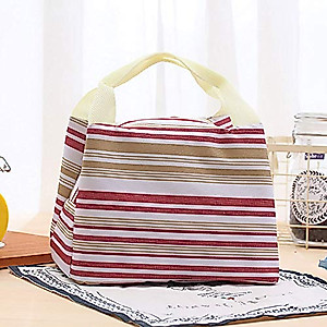 Lunch Bag Lunch Organizer for office Lunch Cooler with Zip Closure Foldable Lunch Tote Bag, Reusable Lunch Holder Insulated Lunch Container Picnic Bag for Men Women（Pink+Red）