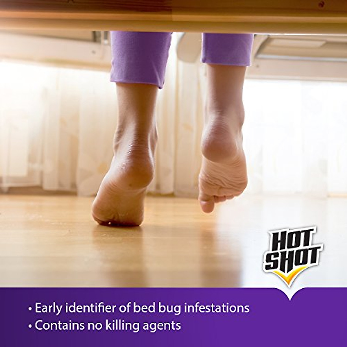 Hot Shot Bed Bug Glue Trap 4 ct