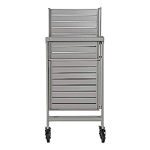 Cosco Indoor/Outdoor Serving Cart, Folding, Silver