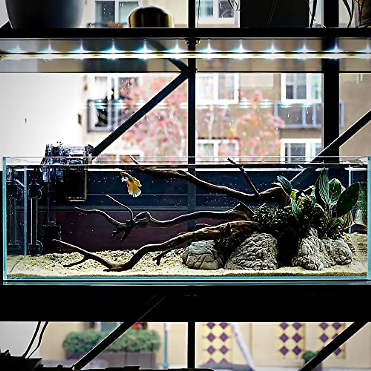 Ultum Nature Systems Ultra Clear Low Iron Rimless Glass Aquarium 60L