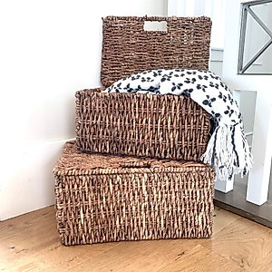 America Basket Woven Grass Rectangular Lidded Storage Baskets (Set of 2) Brown