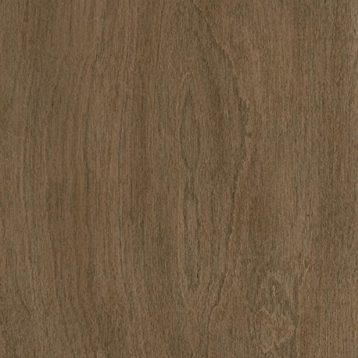 Ameriwood Home Wildwood L Shaped Desk