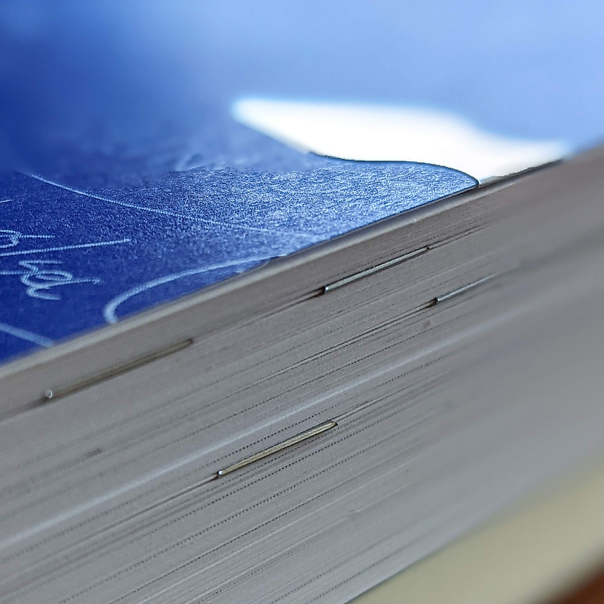 Book Darts: Thin Stainless Steel Mini Bookmarks - 50 Count