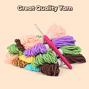 BlumWay Crochet Kit for Beginners, 5 Pcs Succulents Crochet Starter Kit, Beginner Crochet Kit for Adults, Crocheting Beginners Knitting Kit with Step-by-Step Teaching Video