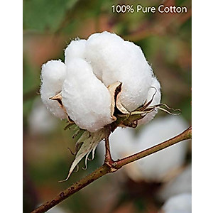 GLAMBURG 100% Cotton Bed Blanket, Breathable Bed Blanket King Size, Cotton Thermal Blankets King Size - Perfect for Layering Any Bed for All Season - Sky Blue