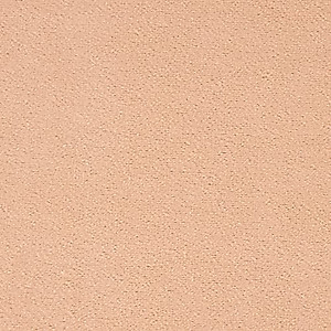 Divano Roma Furniture Classic Sectional, Champaign