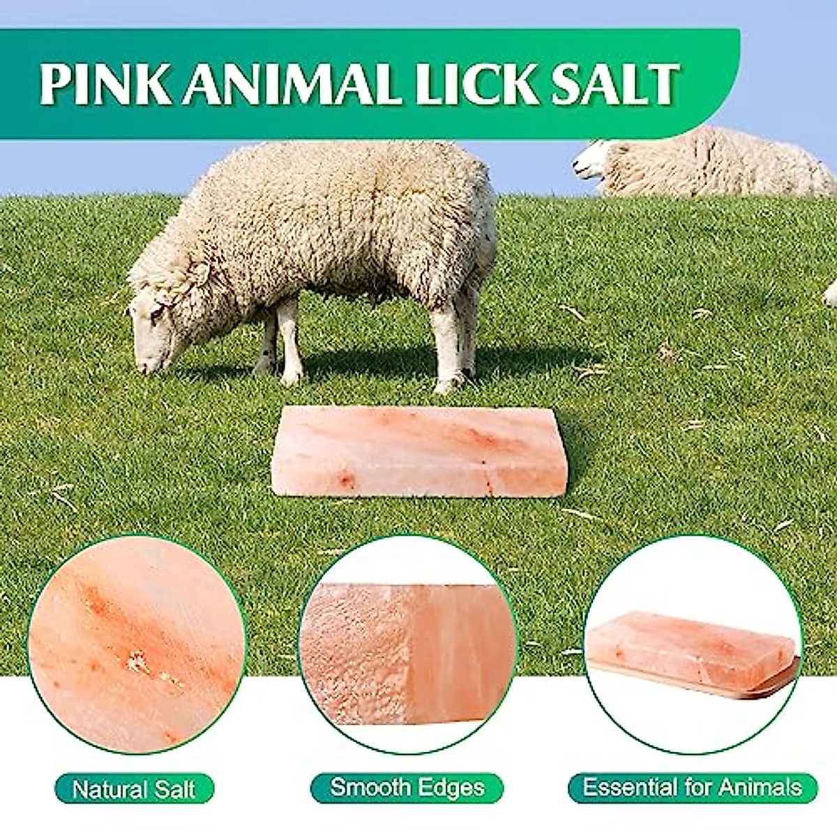 Fabbay 8 Pcs Animal Lick Salt Bulk Himalayan Salt Block Pink Salt Lick ...
