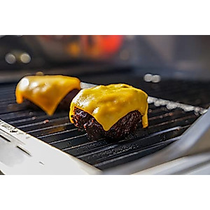 Monument Grills Larger Convertible 4-Burner Natural Gas Grill Stainless Steel Cabinet Style Propane Grills with Conversion Kit(2 Items)