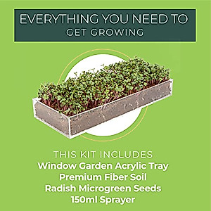 Window Garden Microgreens Grow Kit - Non GMO, Organic Microgreen Seeds, Fiber Soil, Acrylic Tray, Sprayer - Indoor & Outdoor Tools for Gardening, Seedling, Planting Superfood, Hydroponic Growing Kit