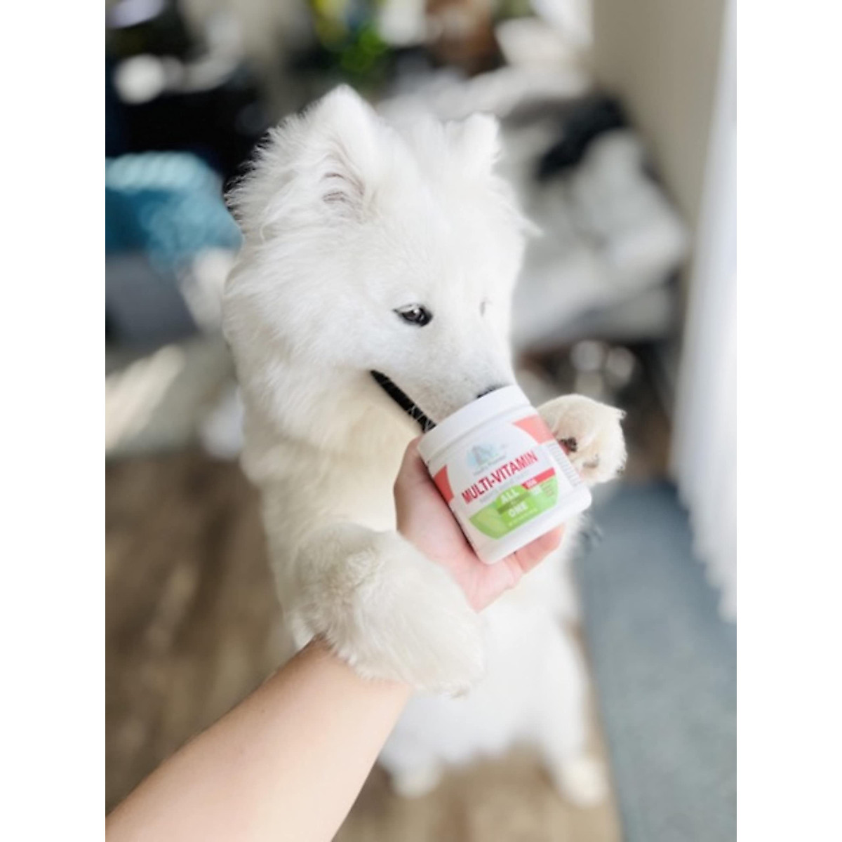 Four Paws Healthy Promise Dog Multivitamin Soft Chews 120 Count