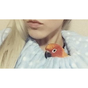 Critter Cuddler Small Animal Carrier and Bonding Pouch Anti-Anxiety Interactive Play Exercise Ring Therapeutic for Pet & Handler Small Dog Cat Hedgehog Puppy Travel Sling - Made in USA (Bugaboo)