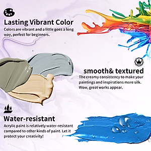 Drawdart 47 Pack Acrylic Paint Set, 36 Colors Art Painting Supplies for Canvas Wood Fabric Ceramic Crafts, Non Toxic & Rich Pigments for Artists & Hobby Painters, 2 fl oz / 60 ml Bottles